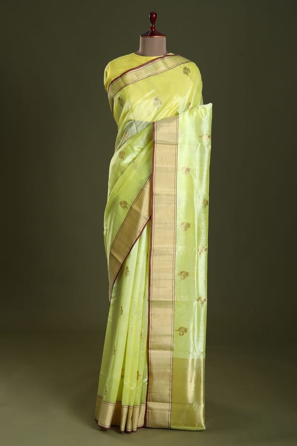 Traditional Chanderi Sarees
